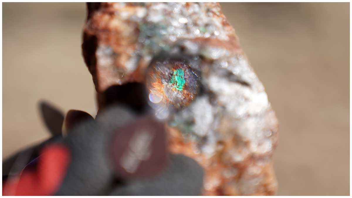 iTech Minerals | More High Grade Copper & Gold Rockchips at Reynolds Range